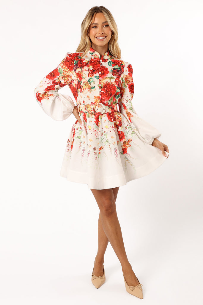 Pipps Long Sleeve Mini Dress - Multi - Petal & Pup USA